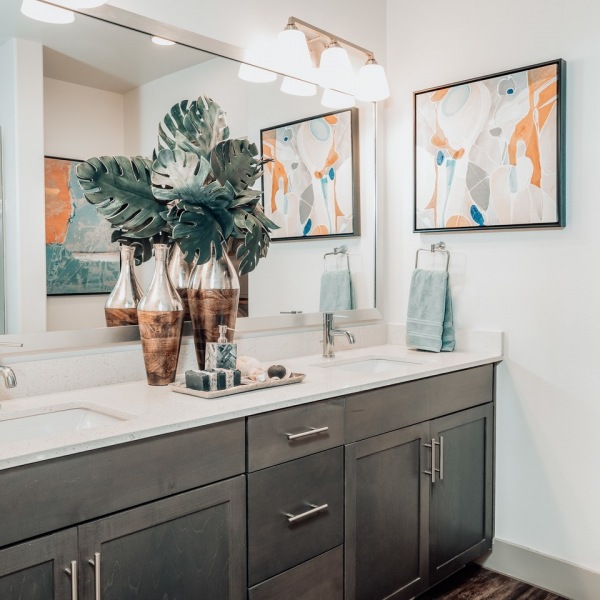 Gallery at Domain is a pet-friendly apartment community in Austin, TX